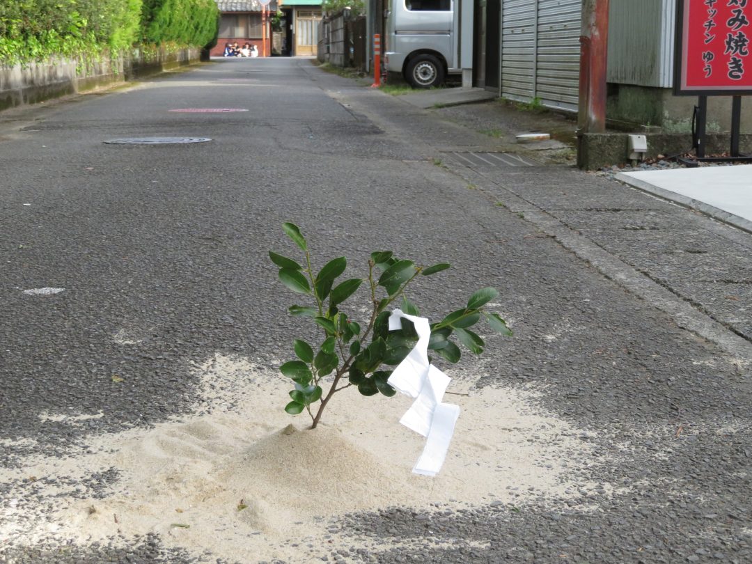 IMG_8278┃施設だよりWEB版┃健祥会グループ